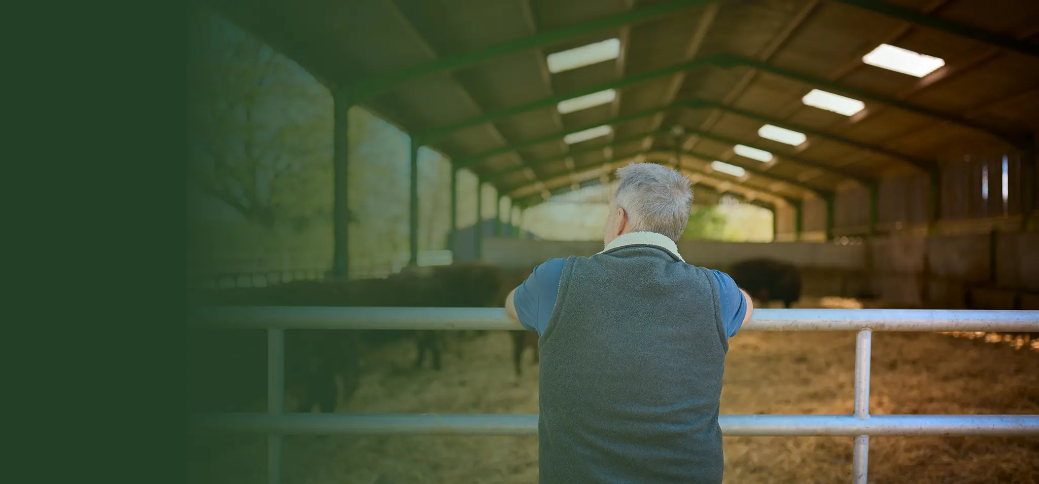 About Farm Nutrition Experts, Specialist Nutrition